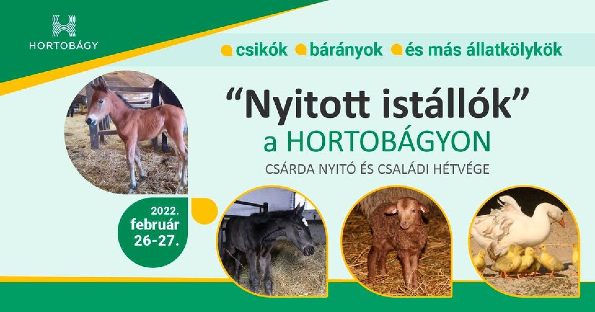 "Nyitott istállók" a Hortobágyon | GoTourist