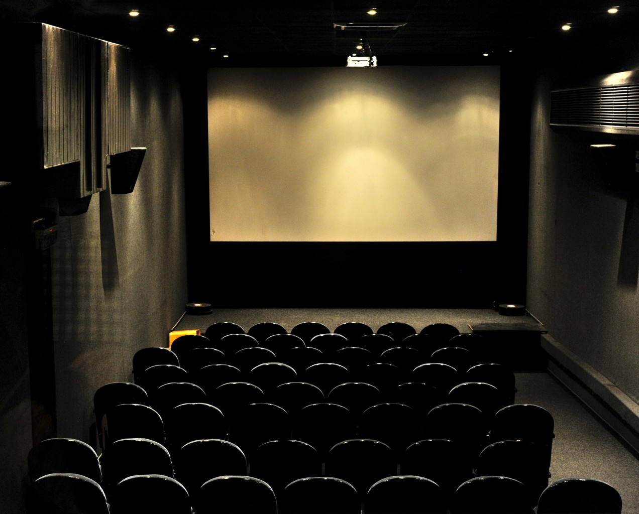 Macskafogó / Cat City | GoTourist